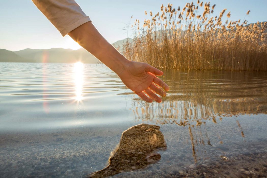 Unternehmen - Allesdach Wagner