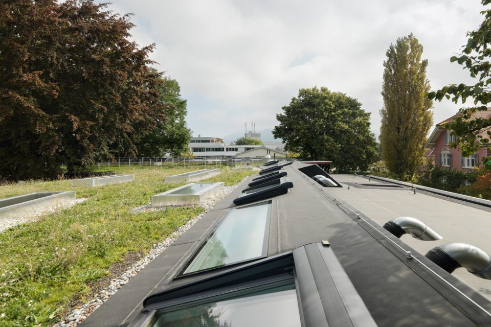 Gründach - Allesdach Wagner