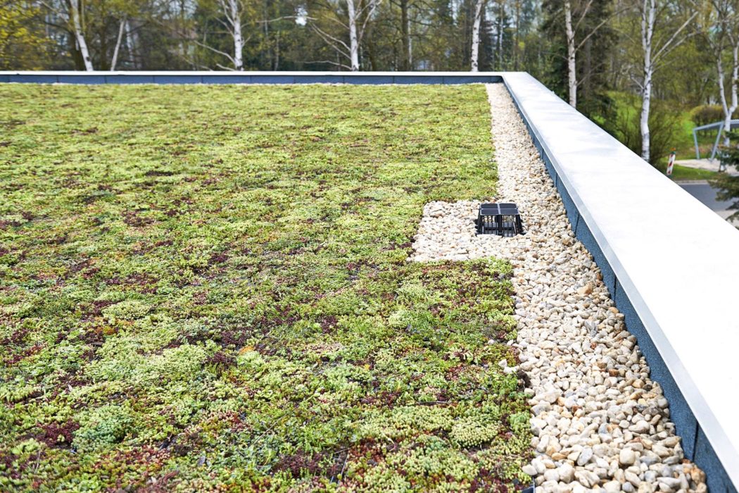 EcoSedum Pack - Allesdach Wagner