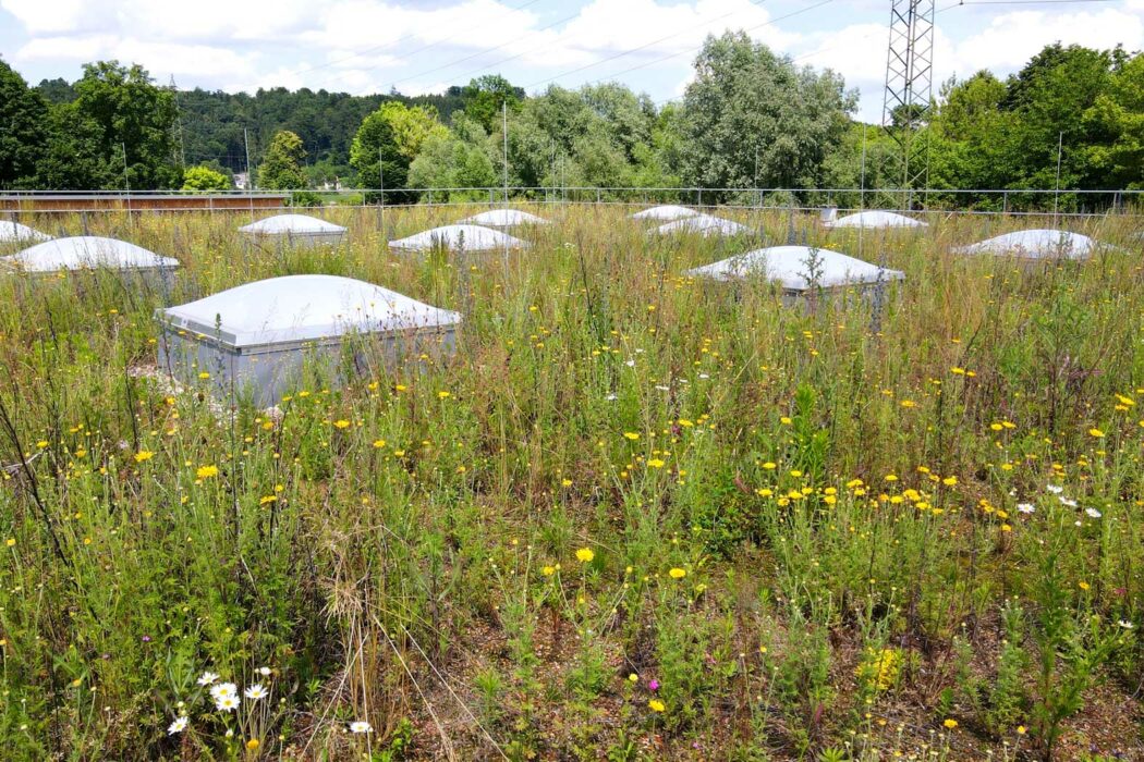 Detentionsdach und Retentionsdach - Allesdach Wagner