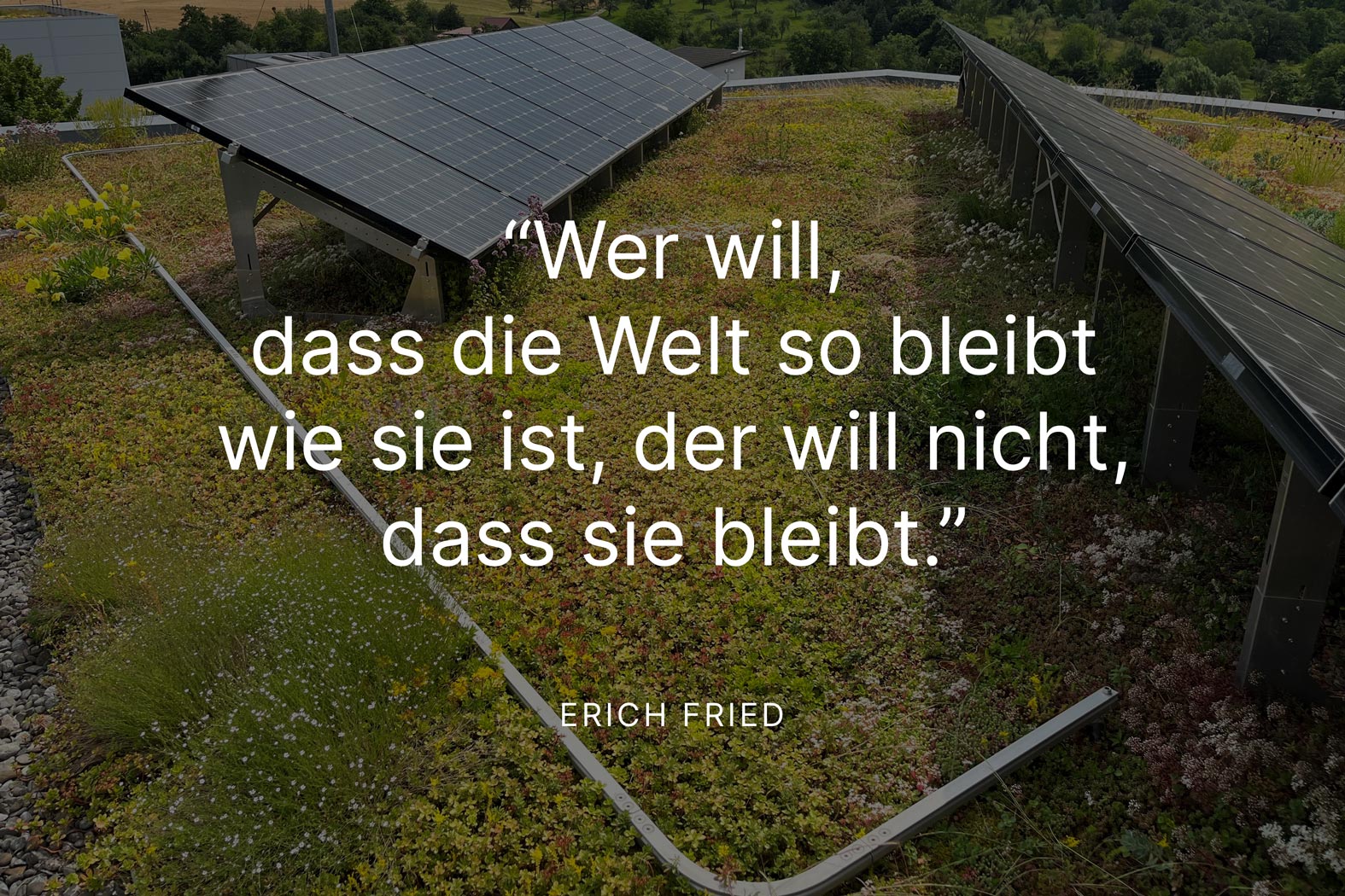 Detentionsdach und Retentionsdach - Allesdach Wagner